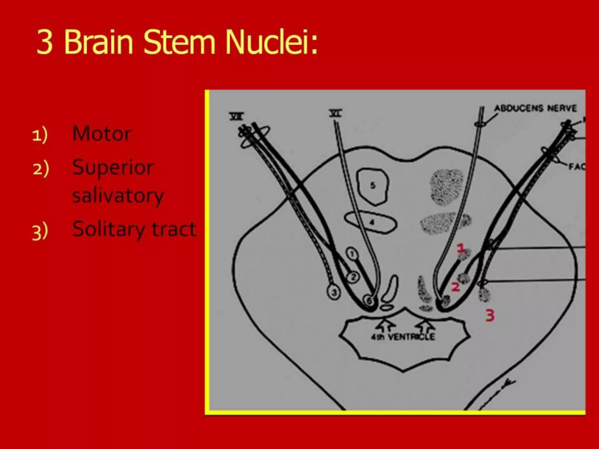 15-Dr Ahmed Esawy imaging oral board of sinus ,ear,fascial nerve ...
