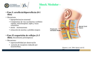 Sistema nervioso y músculo esquelético USS | PPT