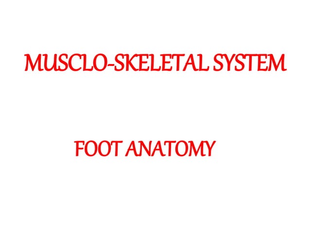 FOOT INTRINSIC MUSCLES origin & insertions.pptx
