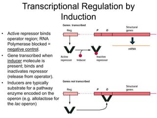 15-gene expression.ppt