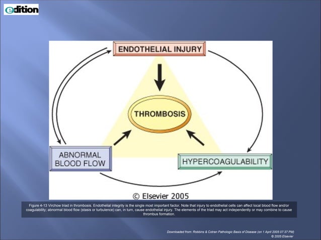 15-HEMODYNAMIC DISORDERS. physiology , blood flow regulation | PPT