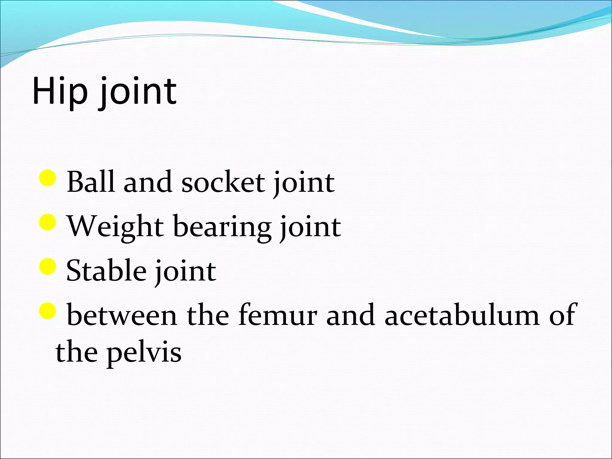 hip joint | PPT