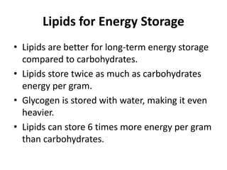 Lipids | PPTX