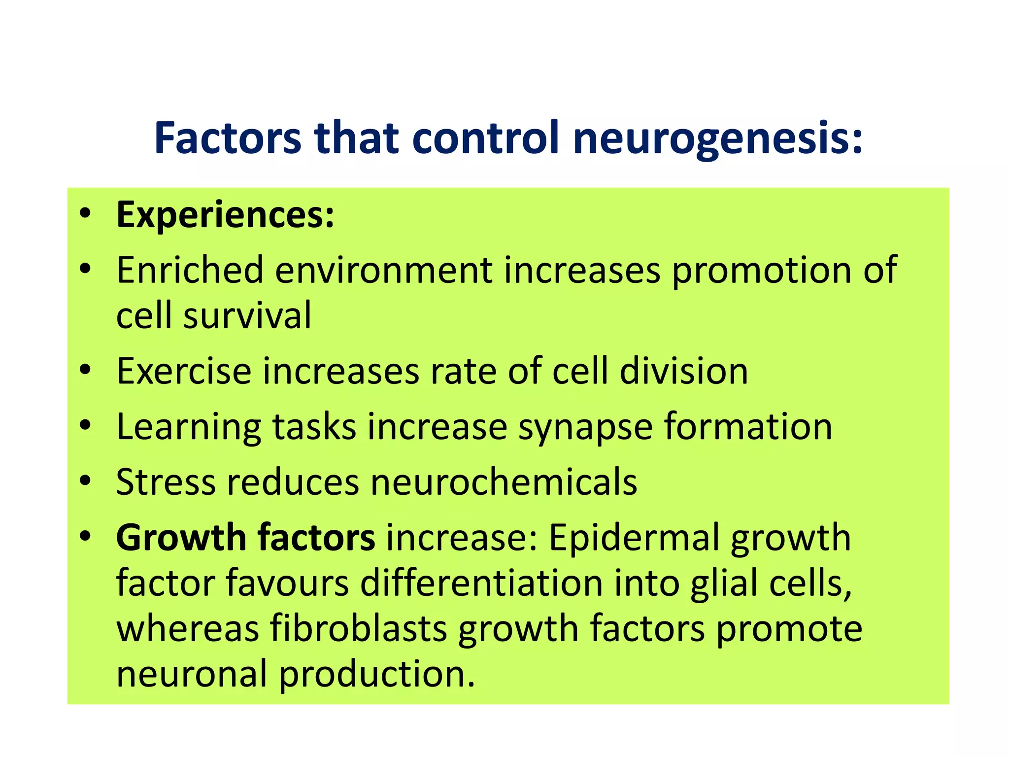 15. neuroplasticity | PPTX