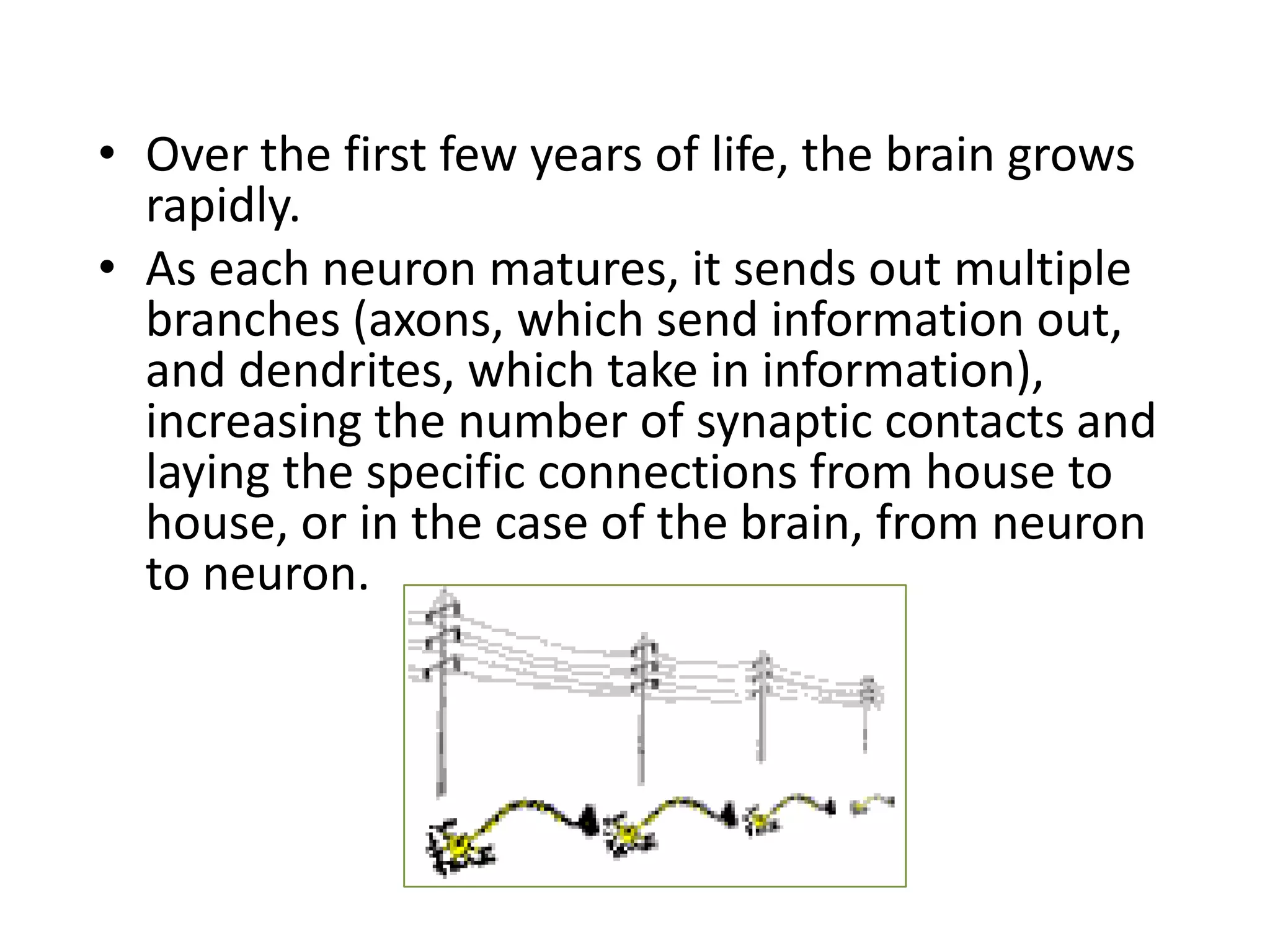 15. neuroplasticity | PPTX