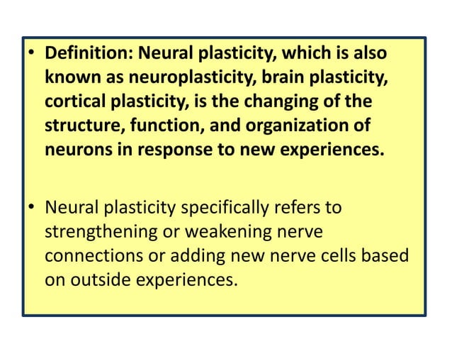 15. neuroplasticity | PPTX