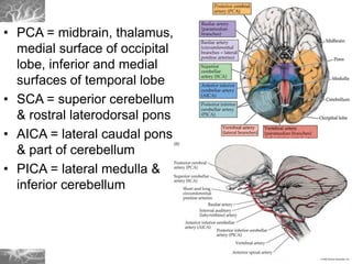 15-Posterior-Circulation-Stroke - Neurologypdf | PDF