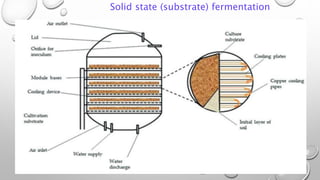 15-th-PPT-of-Foods-and-Industrial-MicrobiologyCourse-No.-DTM-321.pptx