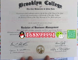 CUNY Brooklyn College degree offer diploma Transcript | PPT
