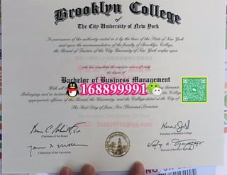 CUNY Brooklyn College degree offer diploma Transcript | PDF ...