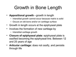 Skeletal System | PPT