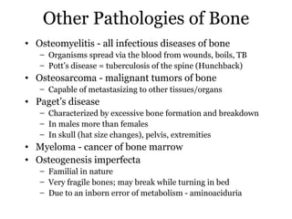 Skeletal System | PPT