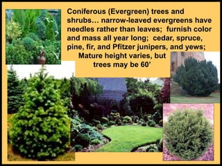 150-Landscaping.ppt