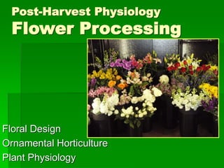 15006975.ppt | Agriculture | Industries