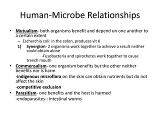 ANES 1501 - M8 PPT2: Asepsis and Sterile Technique | PPTX