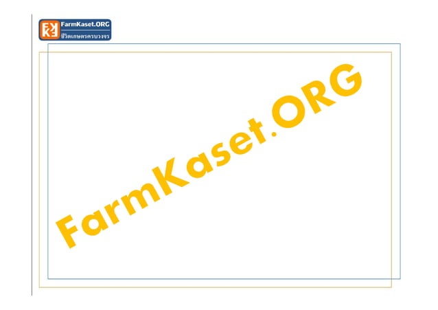 150102 cassava update2558 | PPT