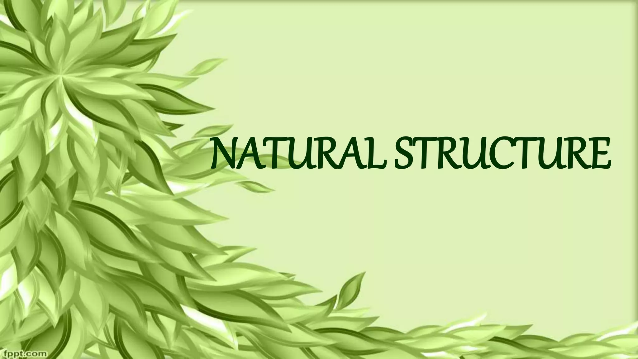 natural & man-made structure | PPTX