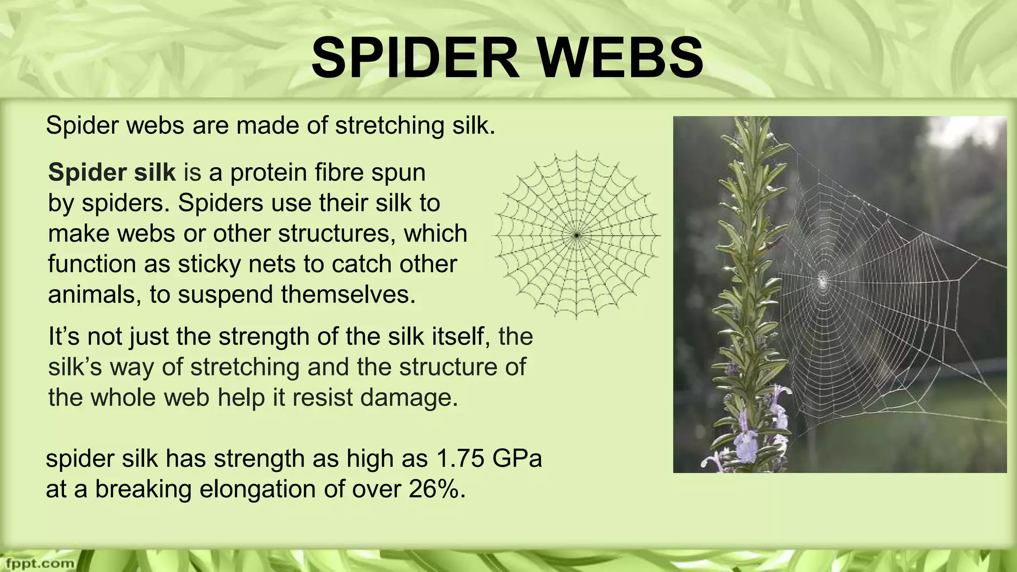 natural & man-made structure | PPTX