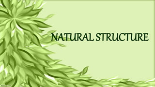 natural & man-made structure | PPTX