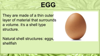Man Made Shell Structures