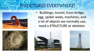 Nature Vs Man Made Structures