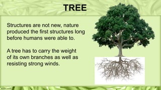 Nature Vs Man Made Structures