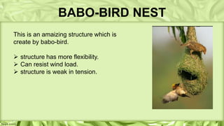 Nature Vs Man Made Structures