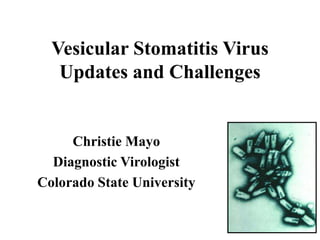 Dr. Christie Mayo - Vesicular Stomatitis Virus Update | PPTX