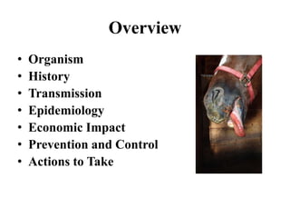 Dr. Christie Mayo - Vesicular Stomatitis Virus Update | PPTX