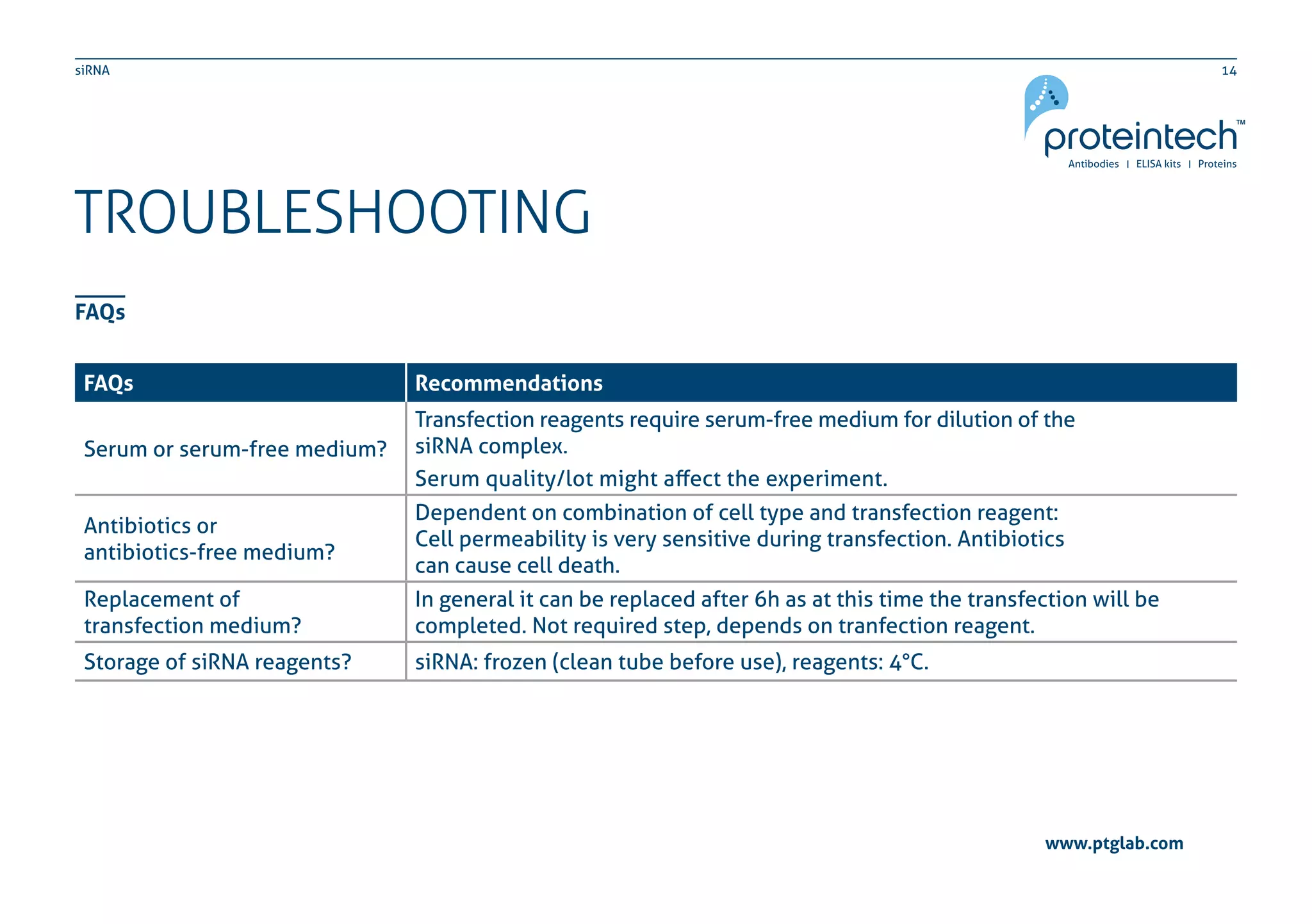 siRNA - Overview and Technical Tips | PDF