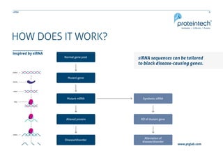 siRNA - Overview and Technical Tips | PDF | Biological Sciences | Science