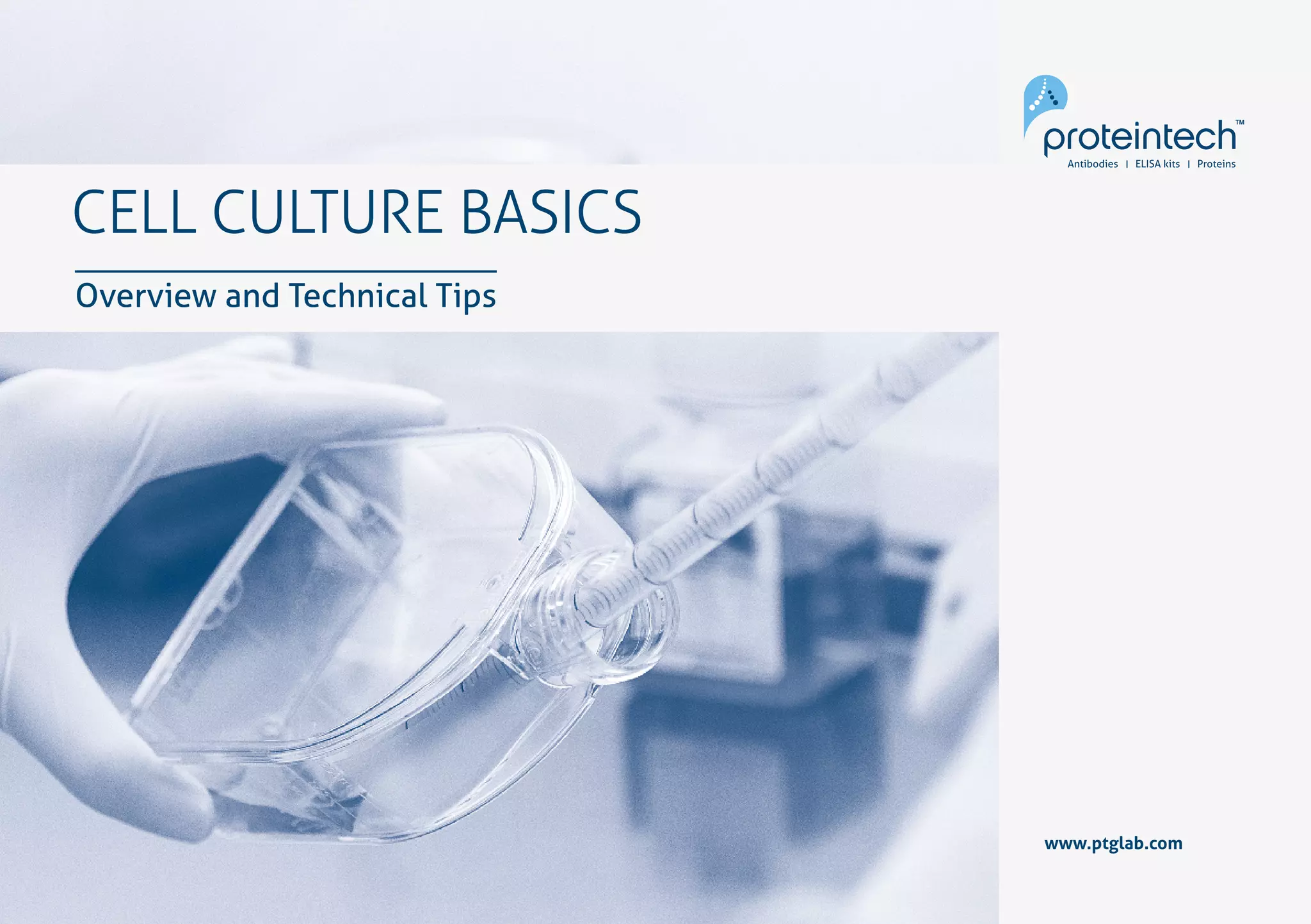 Cell Culture Basics Slideshow | PDF