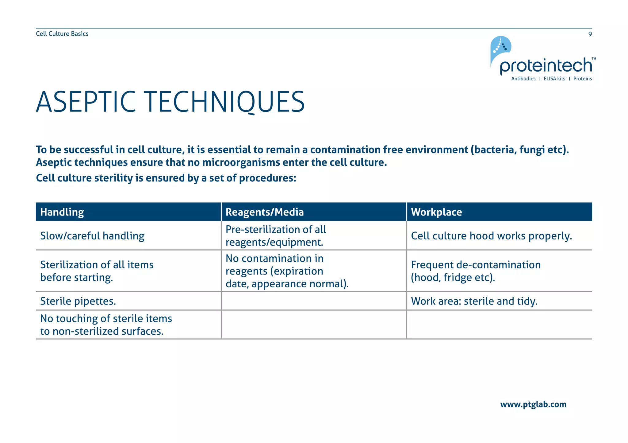 Cell Culture Basics Slideshow | PDF