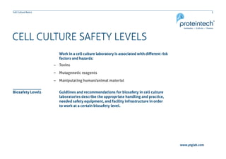 Cell Culture Basics Slideshow | PDF
