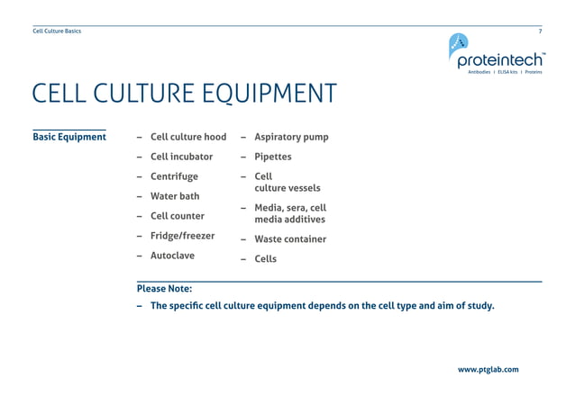 Cell Culture Basics Slideshow