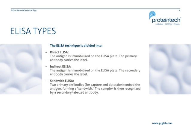 ELISA - Basics and Technical tips | PPT