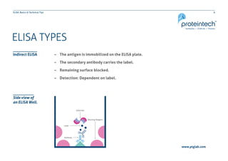 ELISA - Basics and Technical tips | PDF