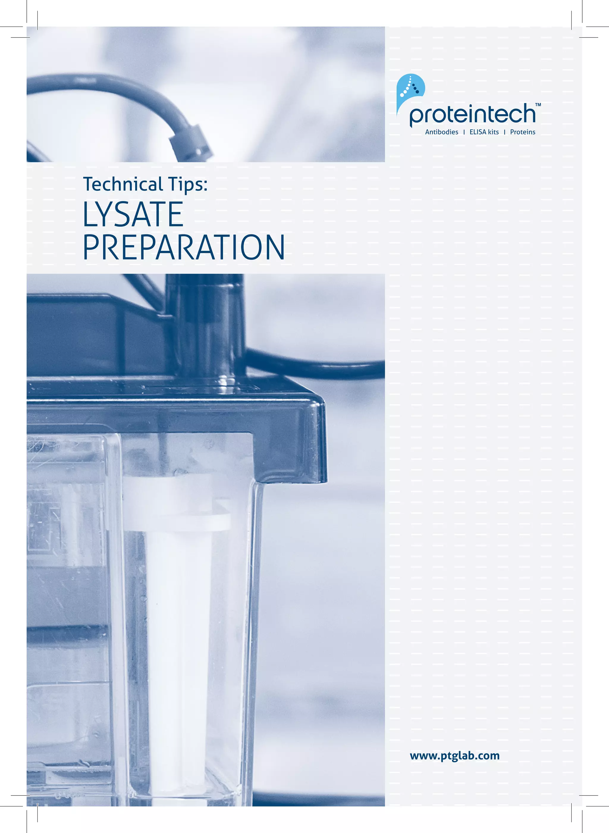 Lysate Preparation Technical Tips | PDF