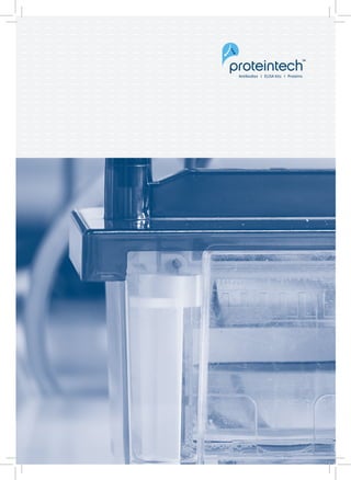 Lysate Preparation Technical Tips | PDF