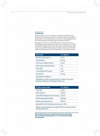 Lysate Preparation Technical Tips | PDF