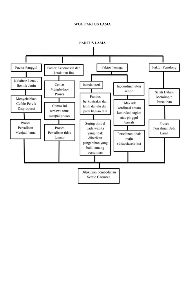 150350232 landasan-teori-partus-lama | PDF