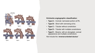 Patent Ductus Arteriosus (PDA) Echocardiographic Assessment: Anatomy ...