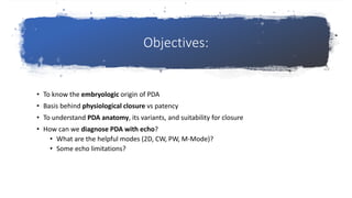 Patent Ductus Arteriosus (PDA) Echocardiographic Assessment: Anatomy ...