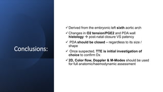 Patent Ductus Arteriosus (PDA) Echocardiographic Assessment: Anatomy ...