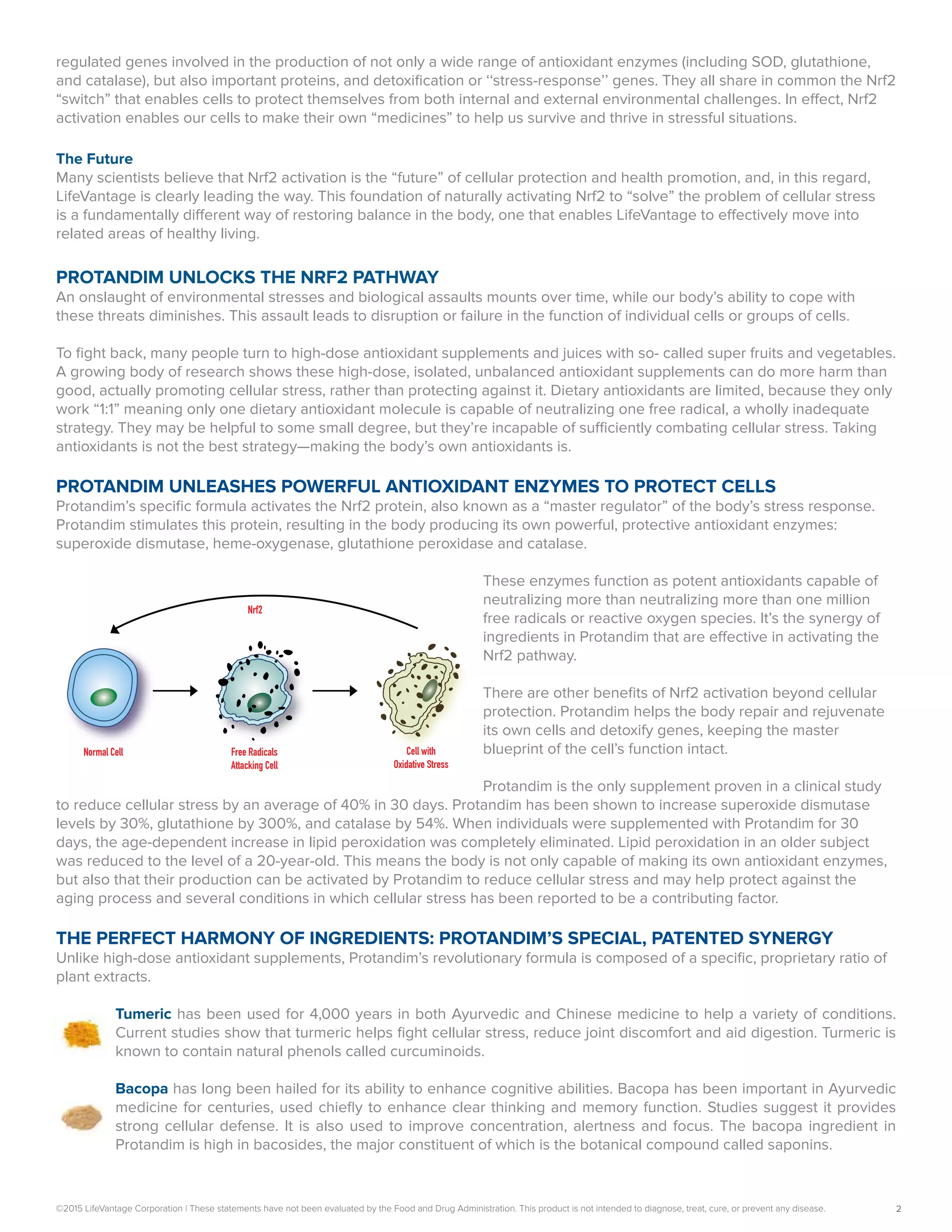 Protandim Science Overview Pages 1-4 | PDF