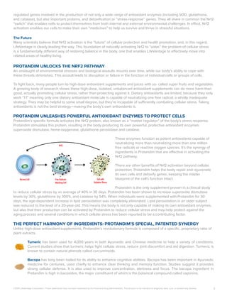 Protandim Science Overview Pages 1-4 | PDF