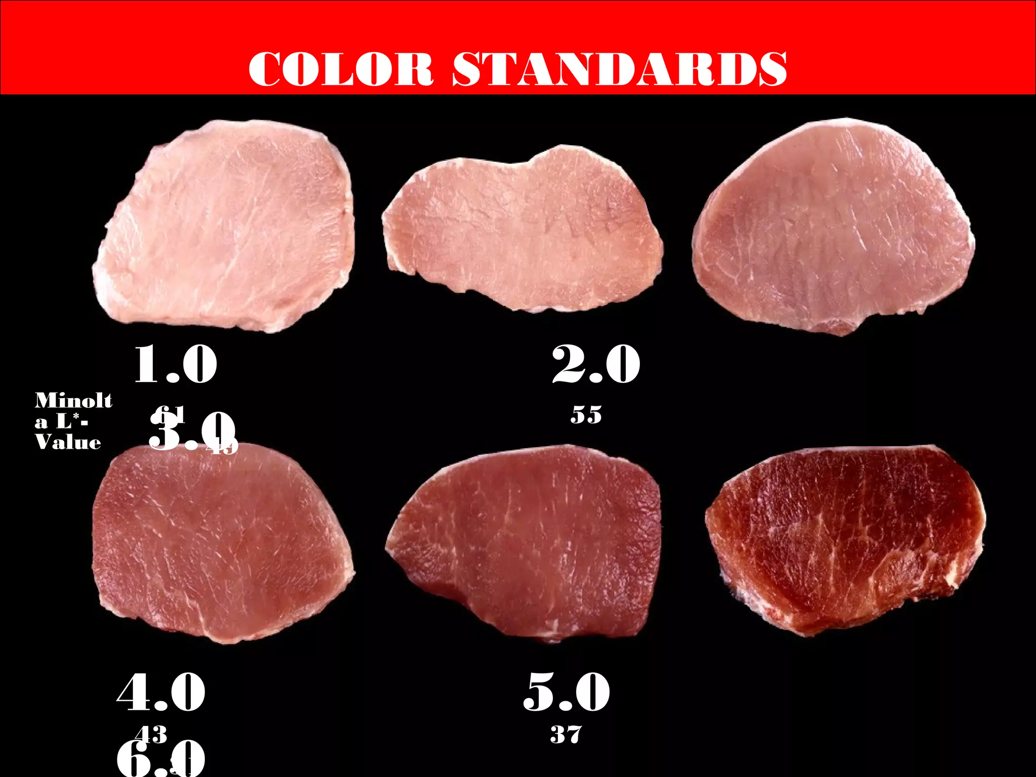 Dr. David Newman - Pork Quality - Retail Meat Benchmarking | PPT