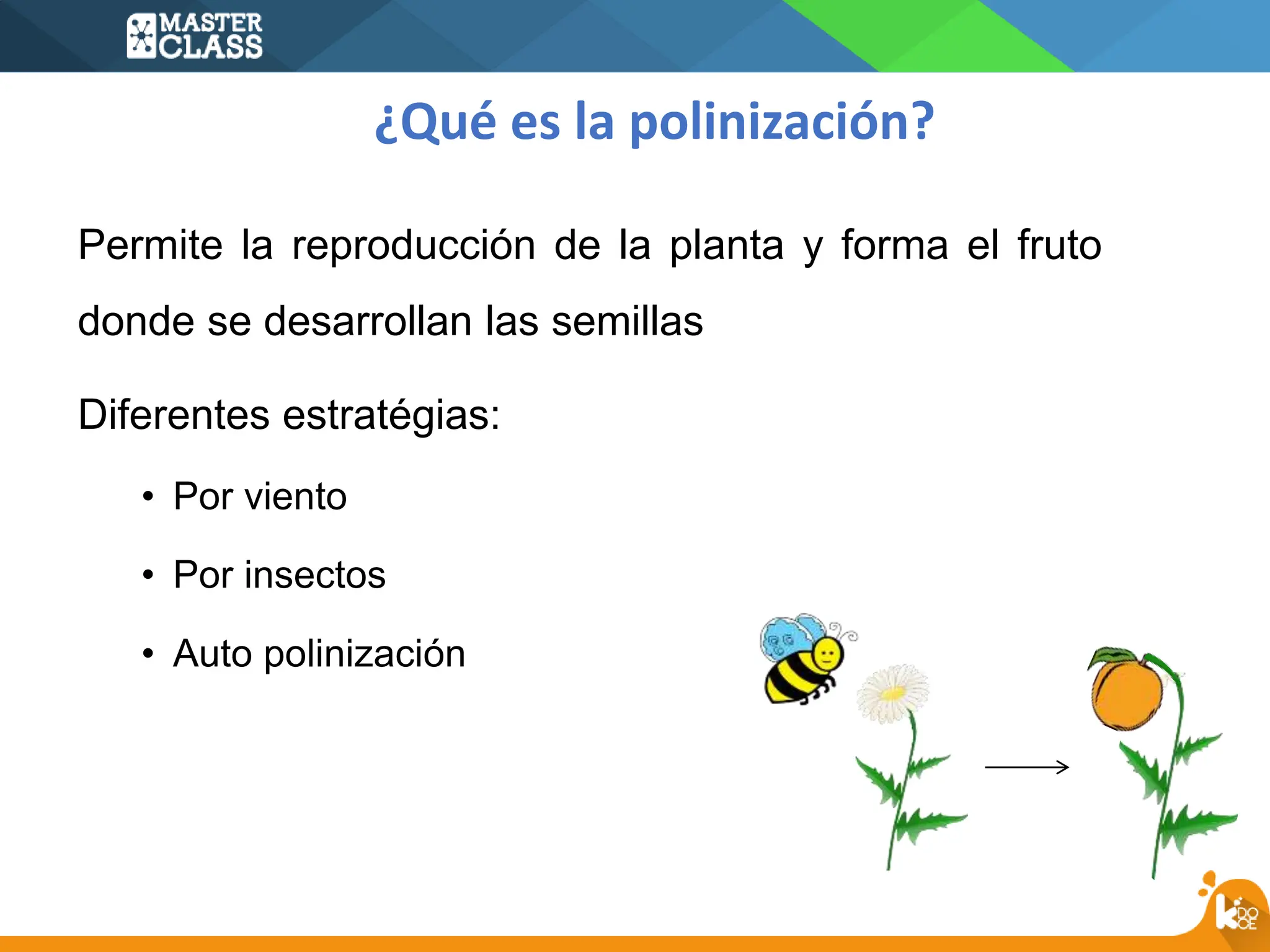 Base teorica Necesidades de las plantas.pptx