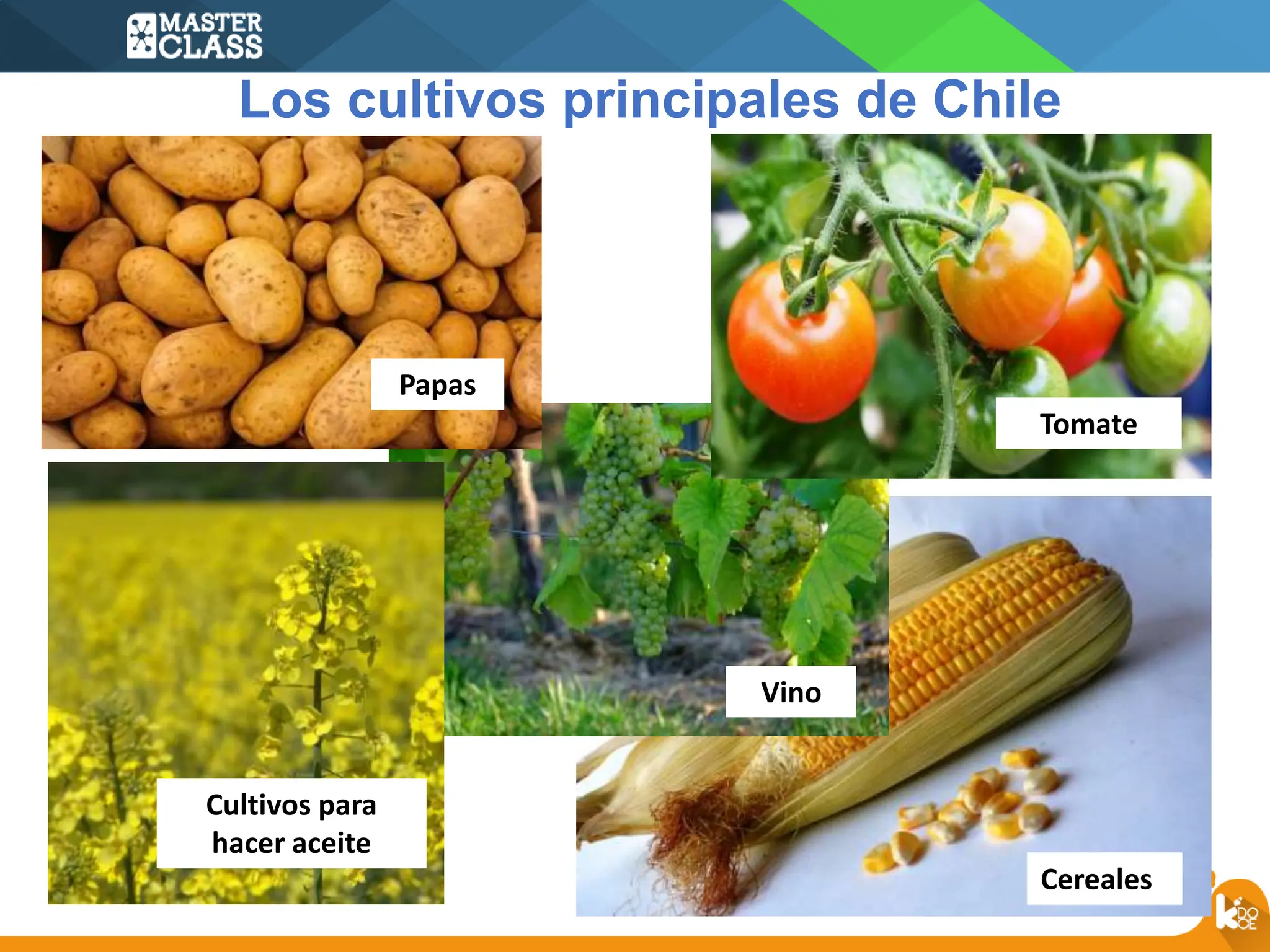 Base teorica Necesidades de las plantas.pptx