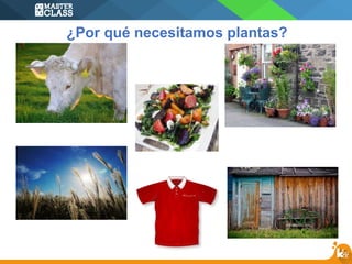 Base teorica Necesidades de las plantas.pptx